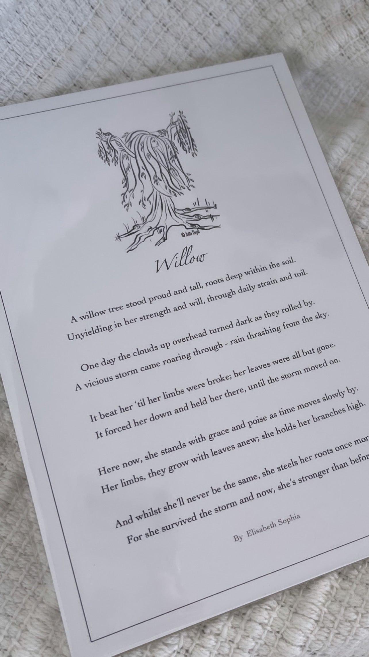 Willow Tree Poem Birth Willow Tree By Susan Lordi | Congratulations To